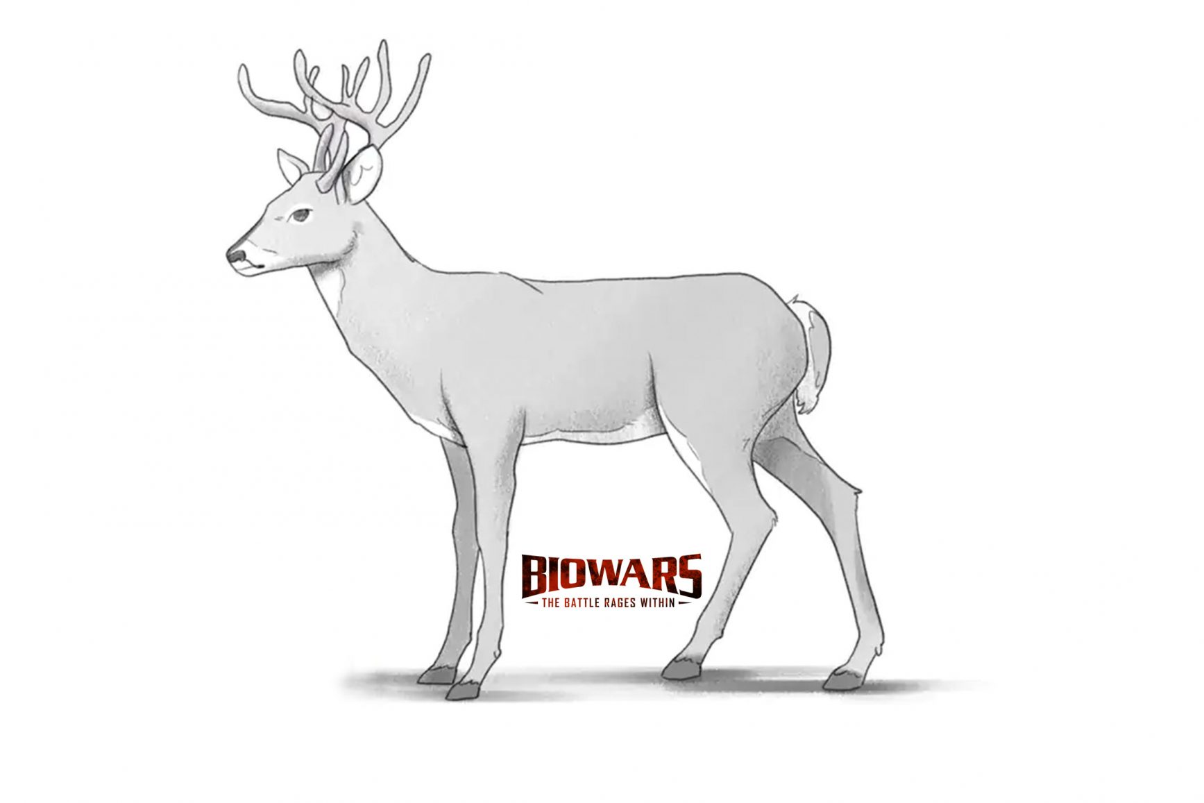 Deer Drawing Guide: 7 Steps For Beginners [Video + Images]