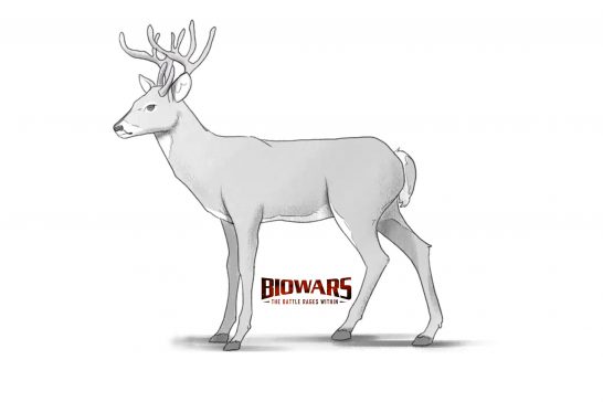 Deer Drawing Guide: 7 Steps For Beginners [Video + Images]
