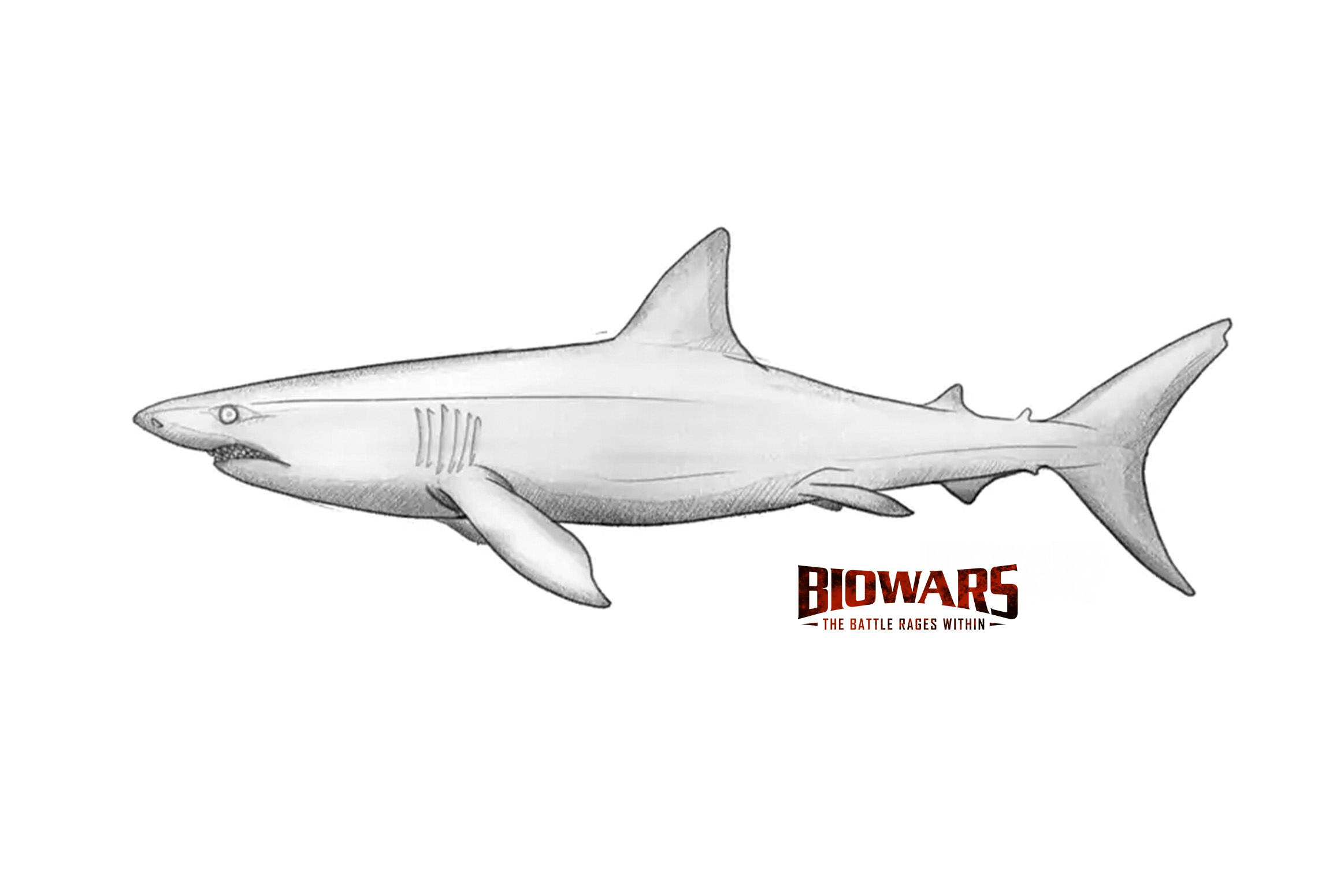 How To Draw A Shark With Mouth Open Step By Step Instructions How To Draw A Shark With Mouth Open Step By Step Instructions