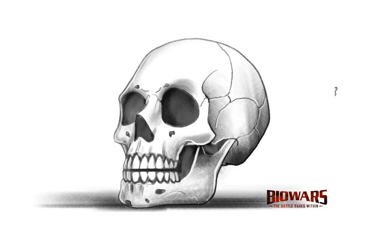 Skull Drawing Guide In 5 Easy Steps [Video + Images]