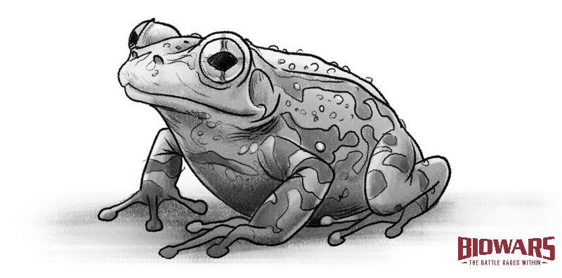 Frog Drawing Guide: 5 Simple Steps [Video + Illustrations] - BioWars