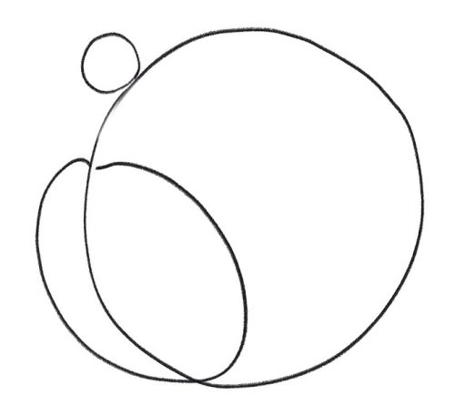 Turkey Drawing In 5 Steps For Beginners [Video + Illustrations]