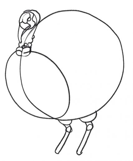 Turkey Drawing In 5 Steps For Beginners [Video + Illustrations]