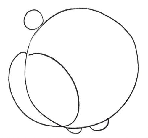 Turkey Drawing In 5 Steps For Beginners [Video + Illustrations]