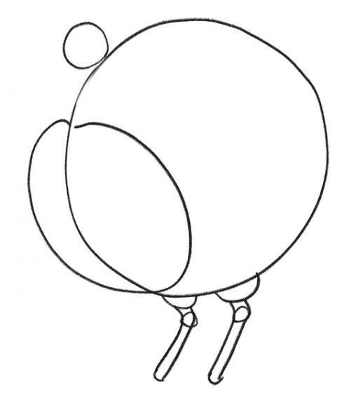 Turkey Drawing In 5 Steps For Beginners [Video + Illustrations]