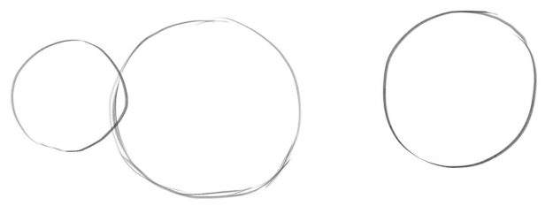 Tiger Drawing In 5 Easy Steps [Video + Images]