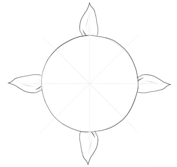 Flower Drawing For Beginners [Sunflowers & Daisies]