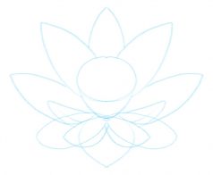 The Lotus Flower Drawing In 5 Simple Steps