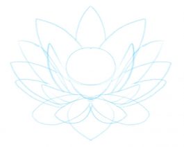 The Lotus Flower Drawing In 5 Simple Steps