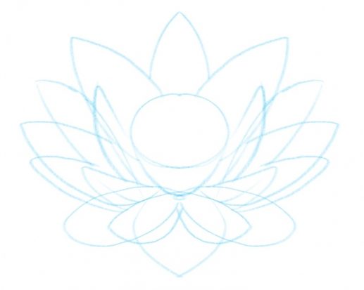 The Lotus Flower Drawing In 5 Simple Steps